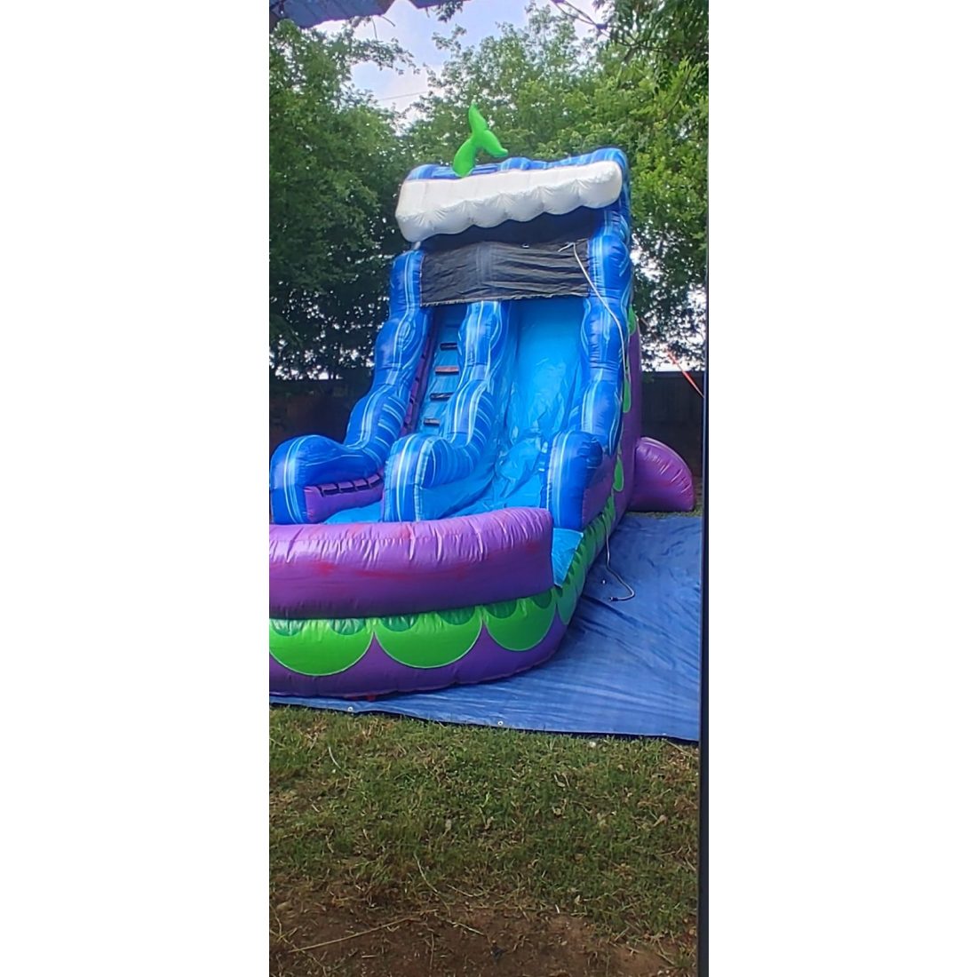 Big Fish 17Ft Waterslide - Krazy Jumpers Inflatables